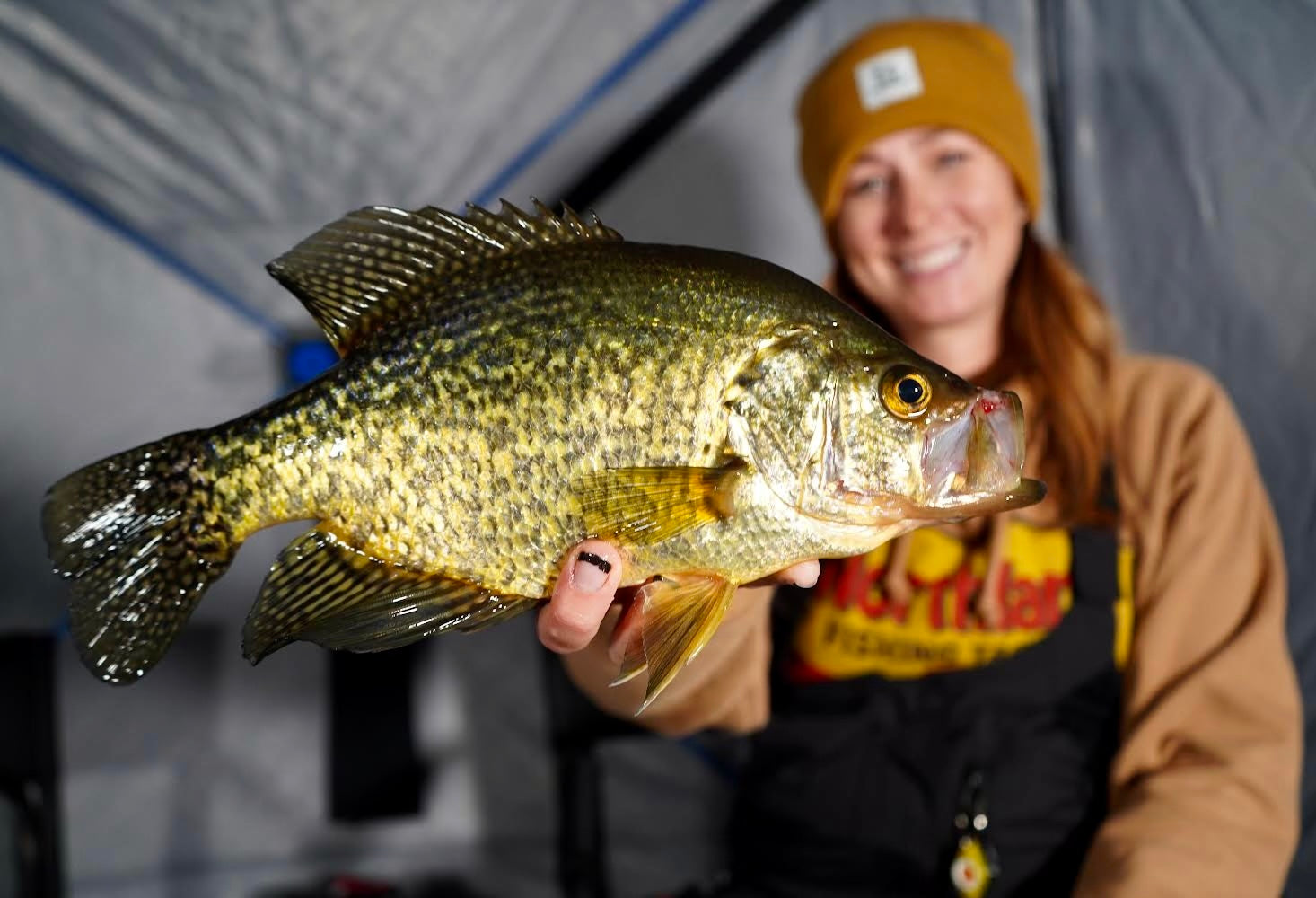 See Us In Action – Freedom Baitz